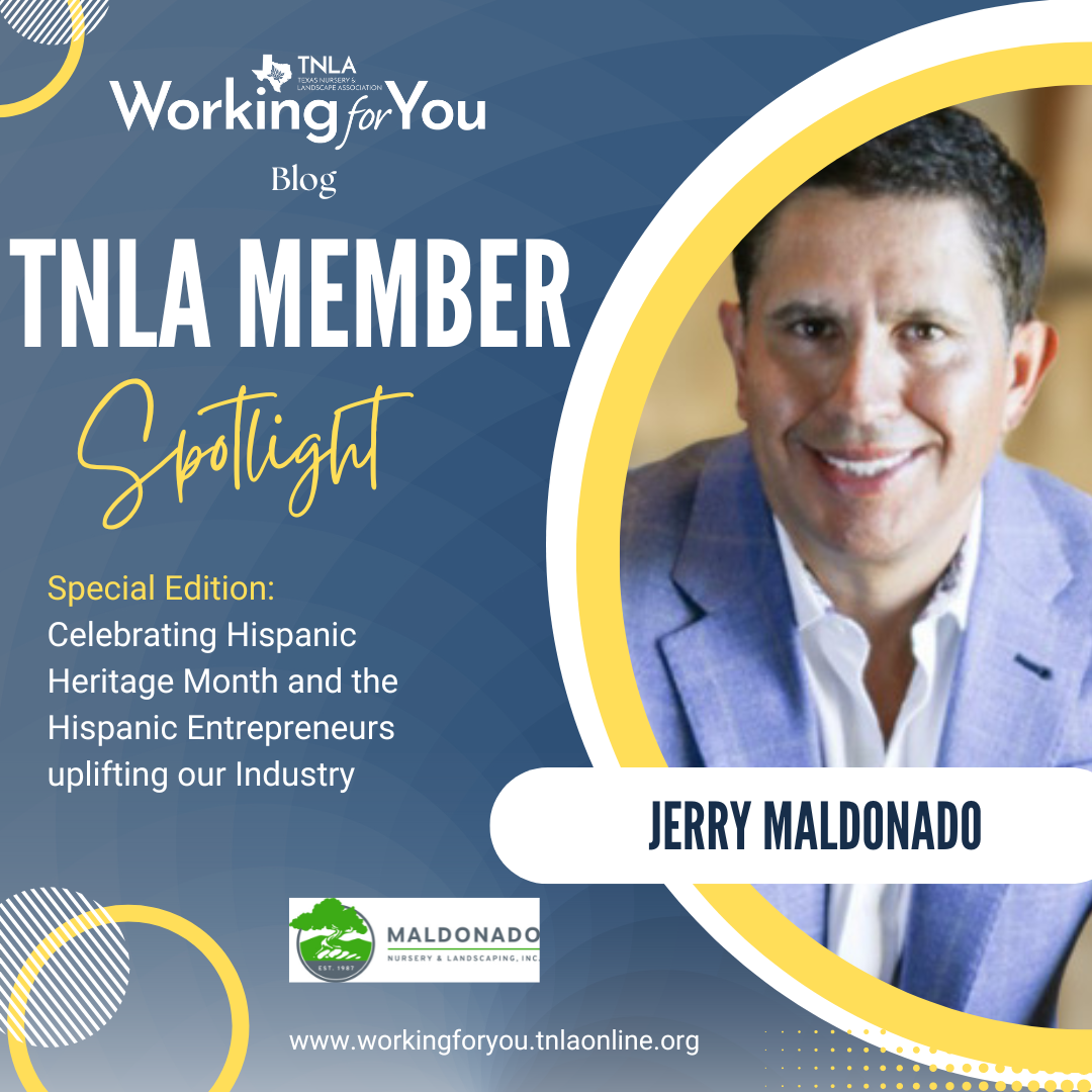 Maldonado Nursery & Landscaping: From Humble Beginnings to Industry Success