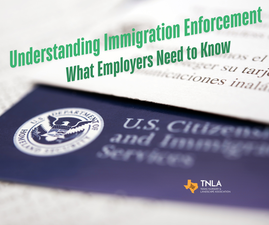 Understanding Immigration Enforcement: What Employers Need to Know
